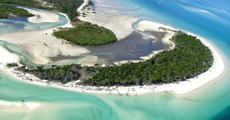 O Que Fazer na Ilha Fraser na Austrália - 2023 | Todas as dicas!