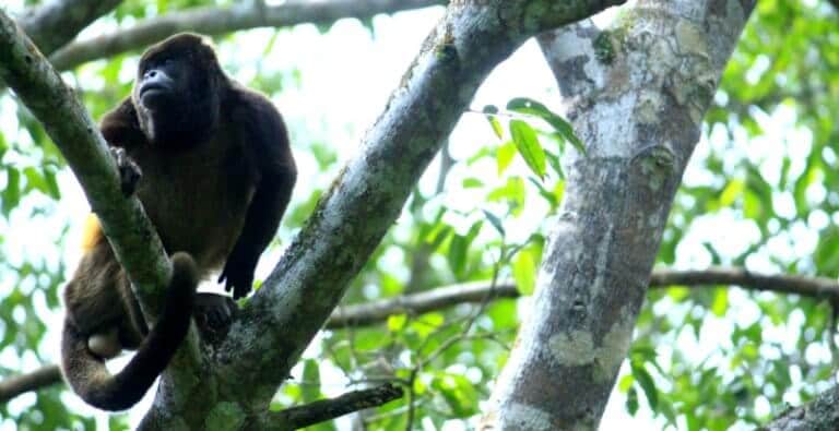 O Que Fazer em Manta no Equador - 2023 | Todas as dicas!